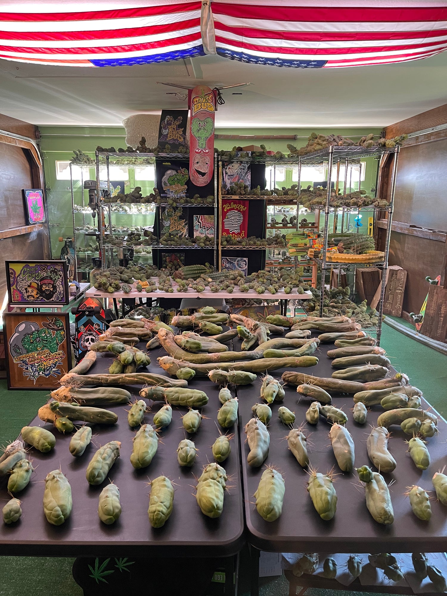 IMDAVESBUD – IMDAVESBUD!!!